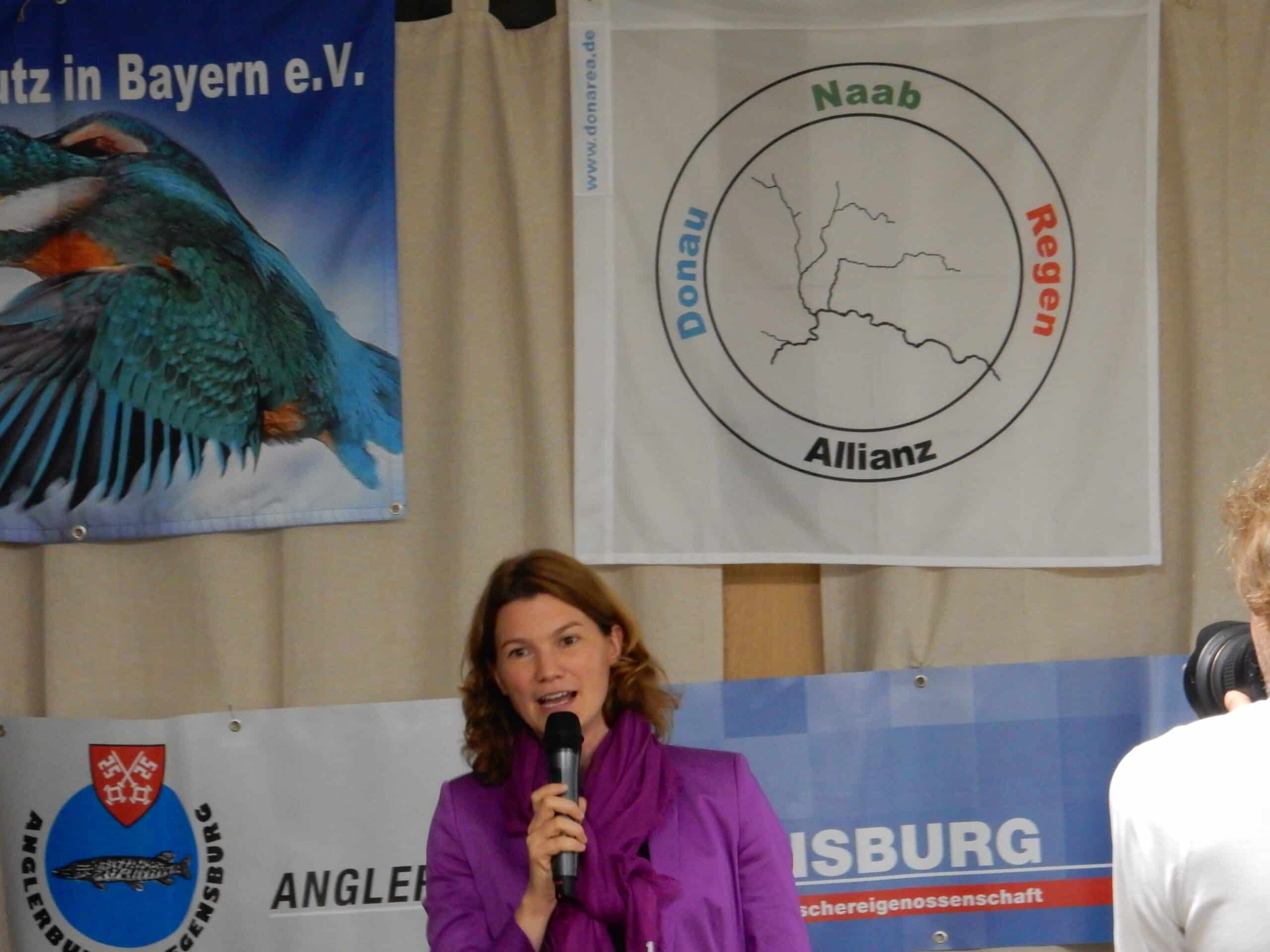 Neue Perspektiven für die Donau » Regensburg Digital